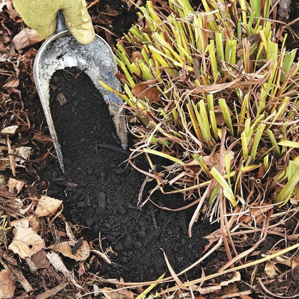 How to Use Fertilizer in Your Garden - Agromoris