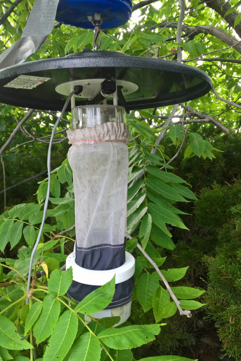 Mosquito trap