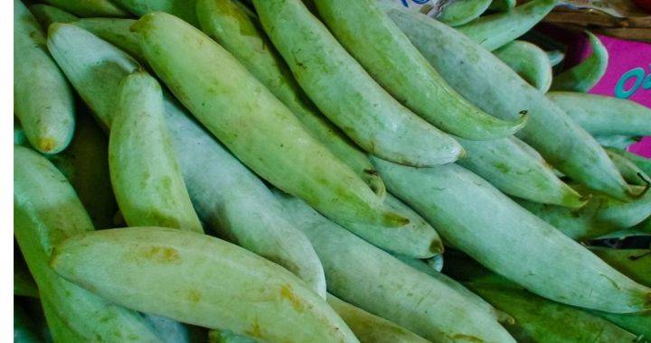 Patole / Snake gourd (Per Kg) - Agromoris