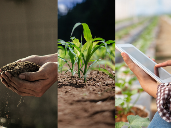 sustainable agriculture & food security