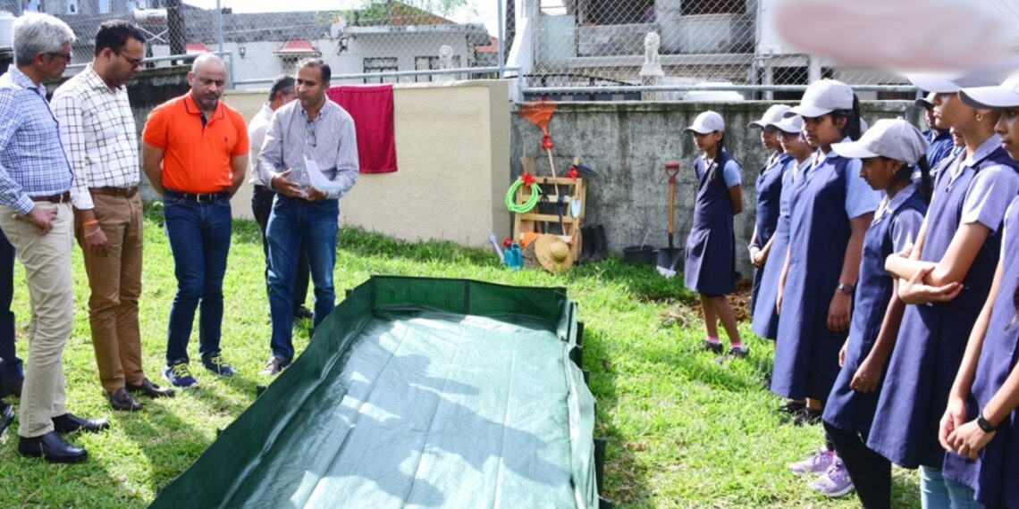 Bio-Agriculture: Food Security through Cultivation of Vegetables - Agromoris