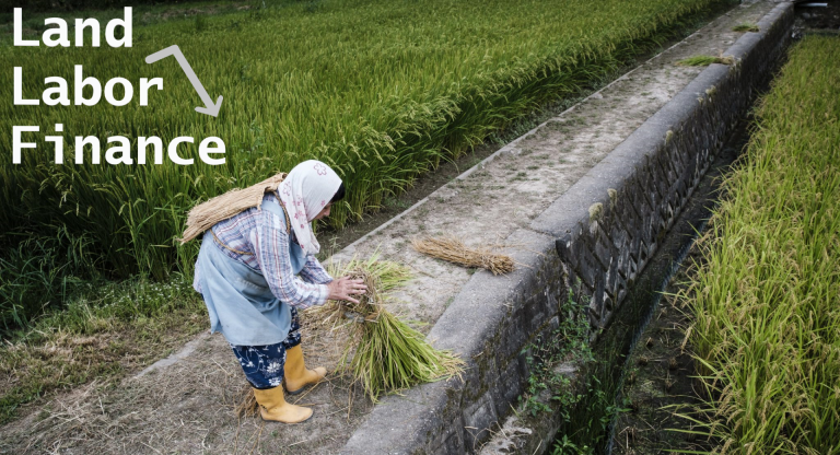 Lack of Labor, Land and Finances in the Agricultural Sector - Agromoris