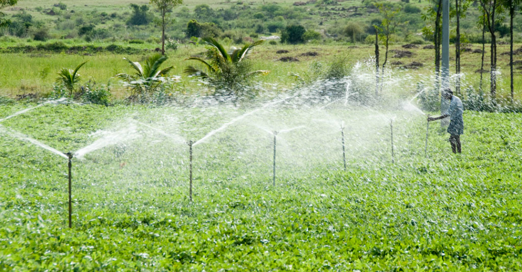 Irrigation in Agriculture: Essential Water Management